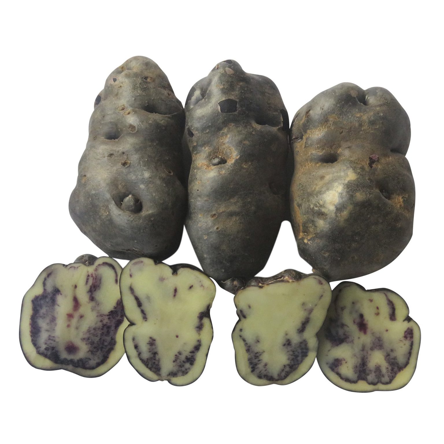 Tuberculos Andinos archivos | Agropia Cooperativa